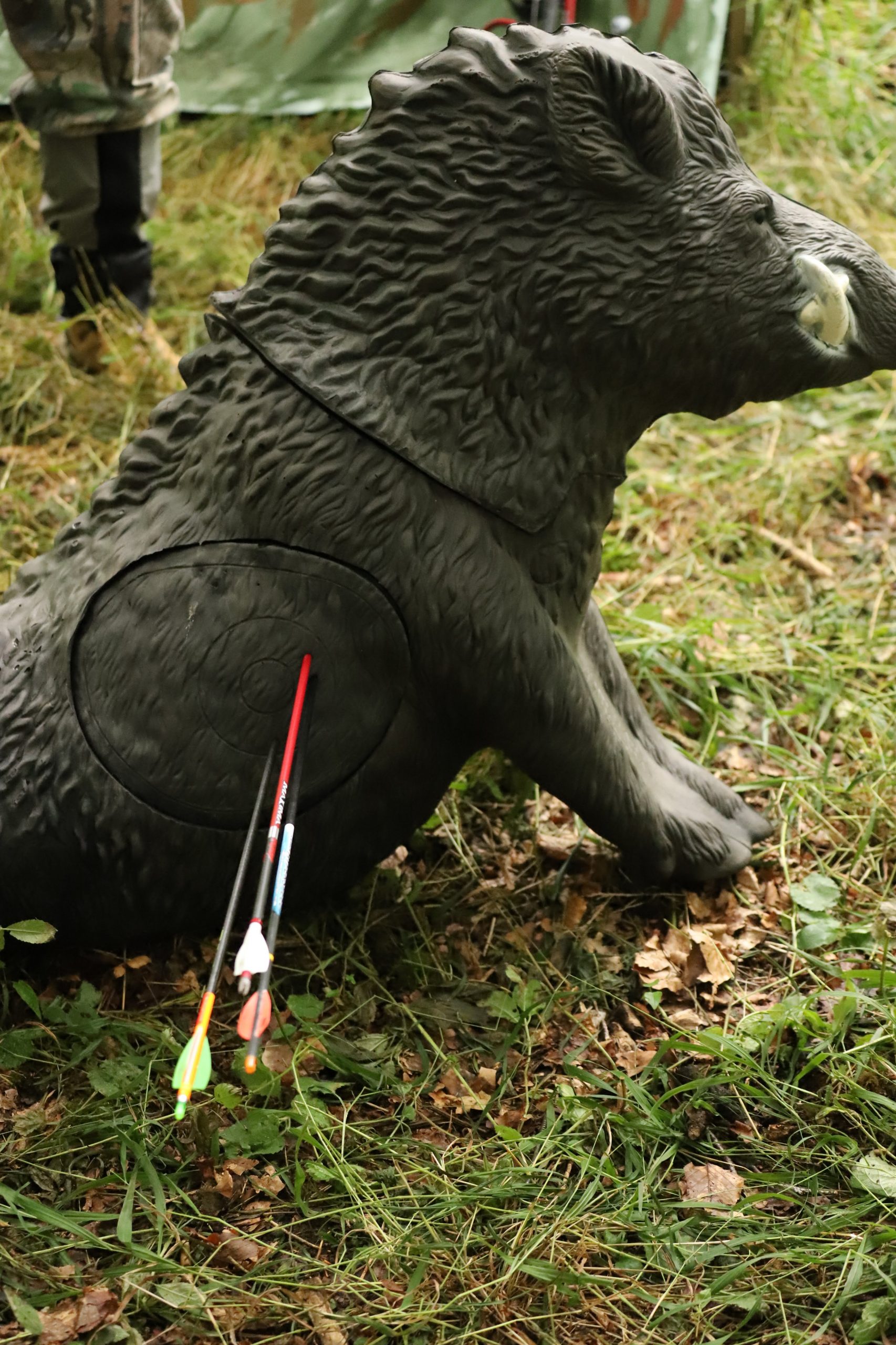 Photo Gallery – The Windrush Bowmen