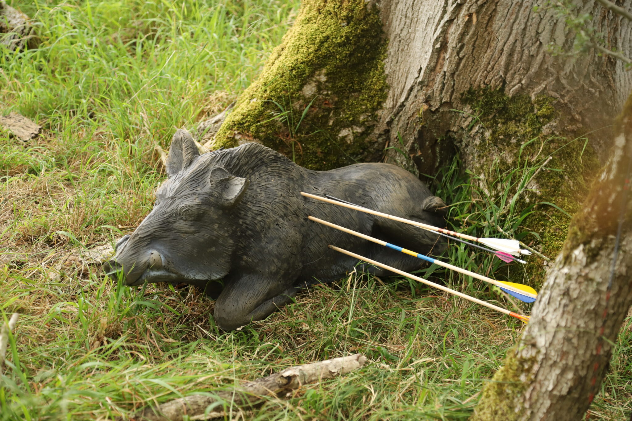 The Windrush Bowmen – The Windrush Bowmen Archery Club