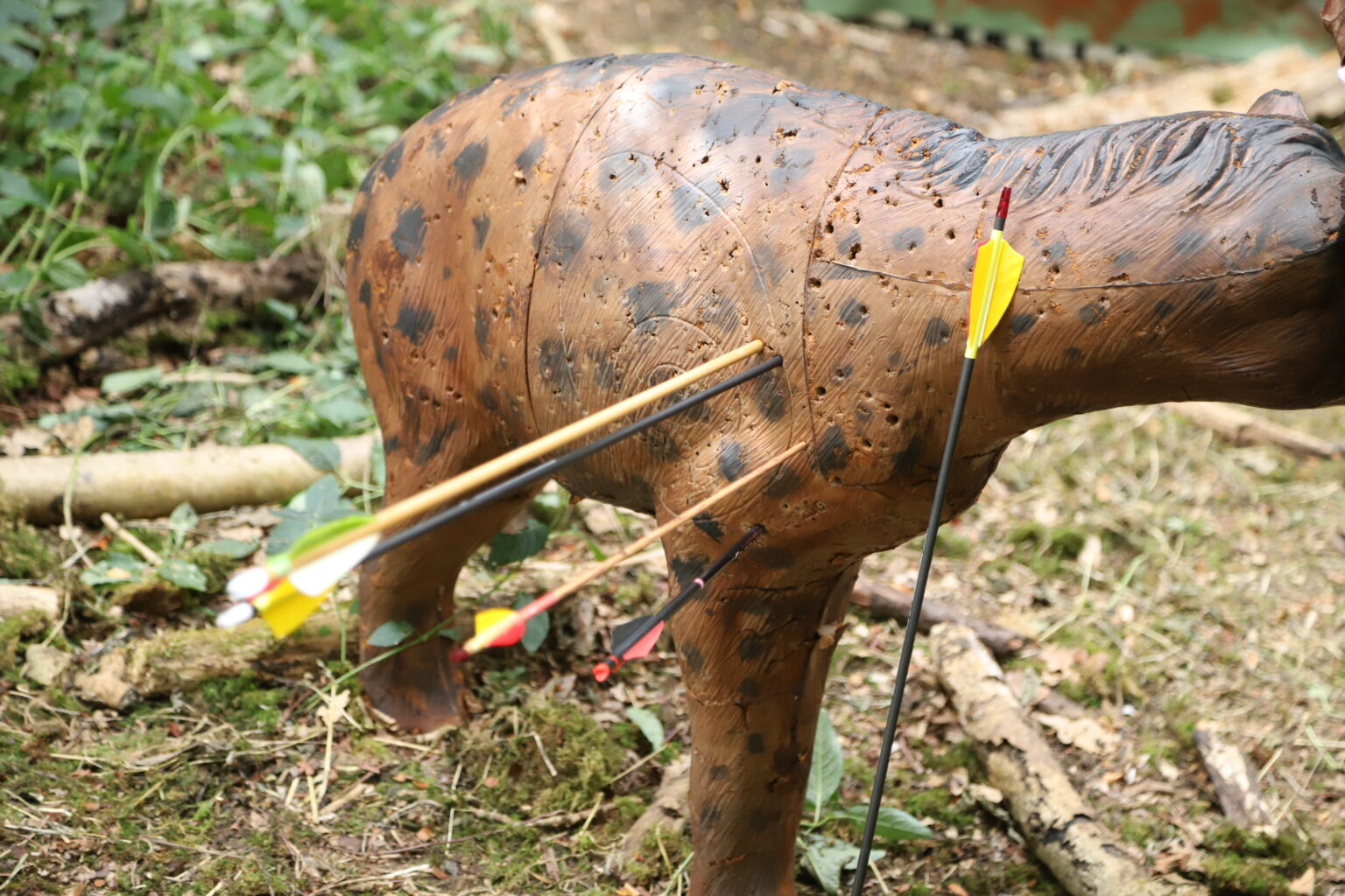 Photo Gallery – The Windrush Bowmen